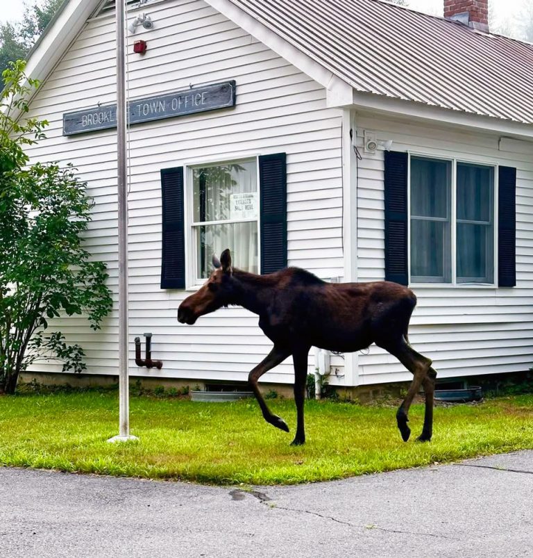 Home - Brookline, Vermont