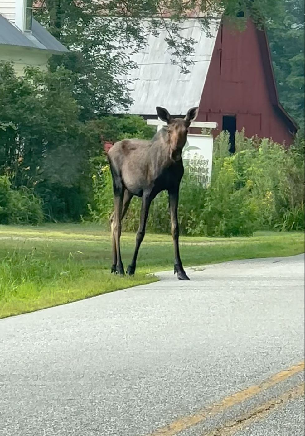 Home - Brookline, Vermont